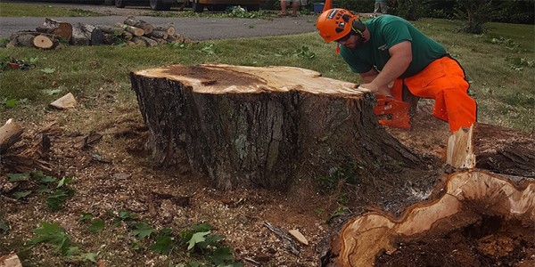 Lawncare Solutions LLC